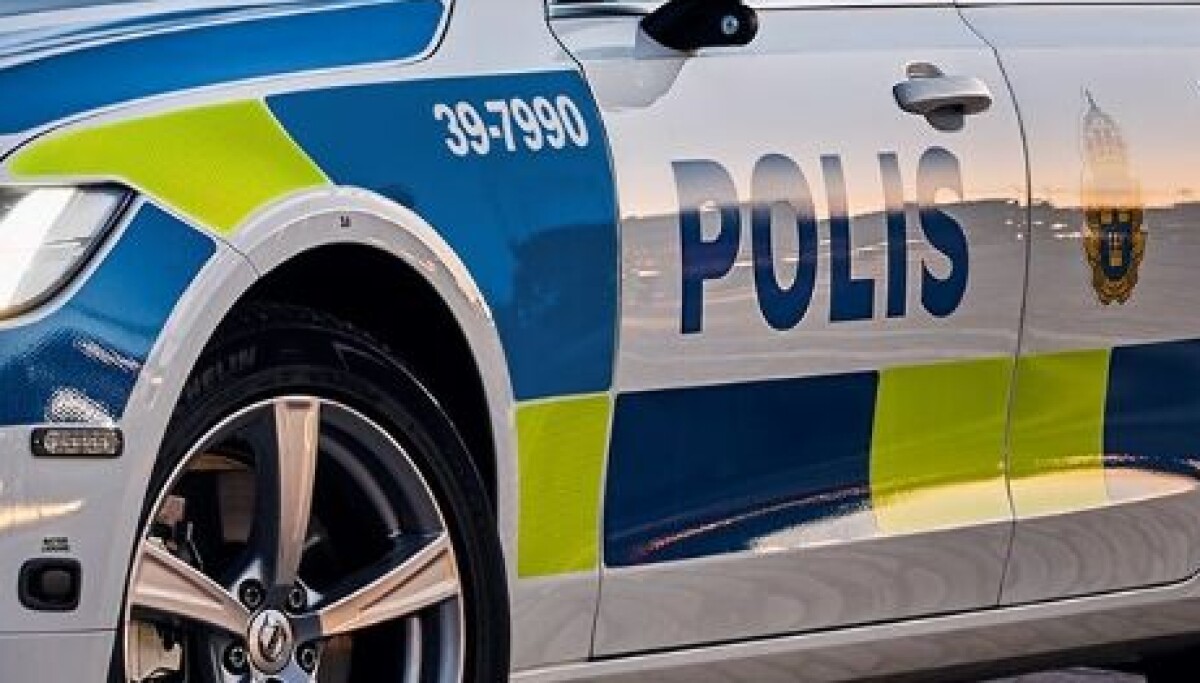 Man Häktad För Försök Till Mord Och Grov Våldtäkt