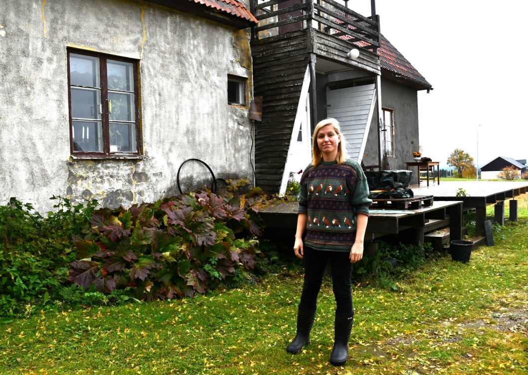 Hester från Holland hittade inspirationen i Jämtland – ställer ut i ...